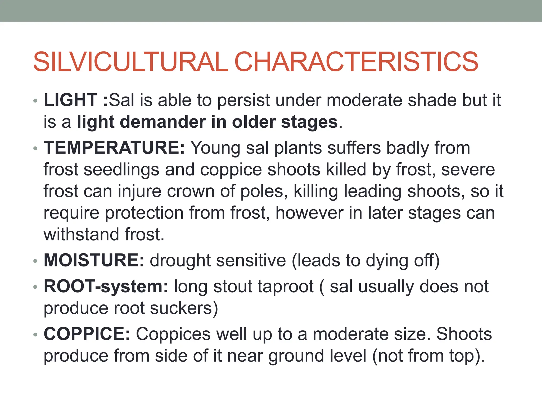 SILVICULTURE CHARACTERISTICS OF SAL.pptx