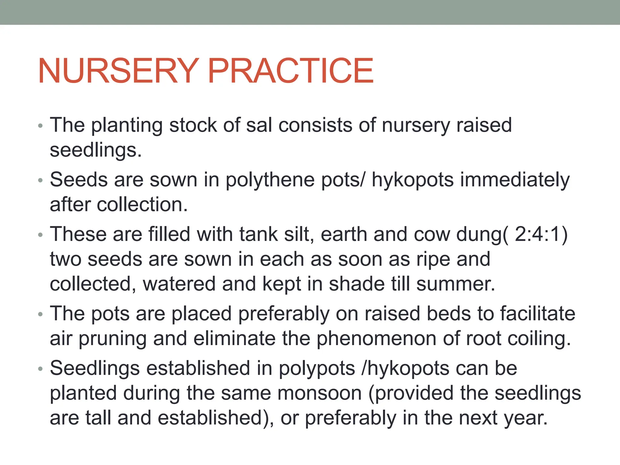 SILVICULTURE CHARACTERISTICS OF SAL.pptx