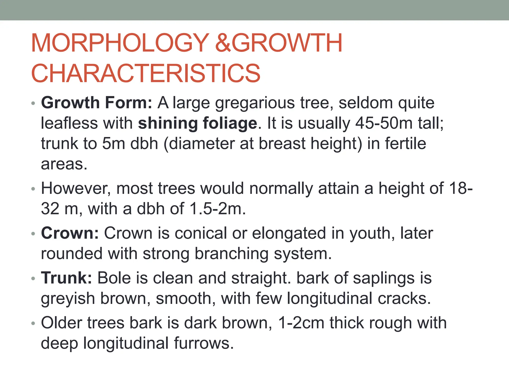 SILVICULTURE CHARACTERISTICS OF SAL.pptx
