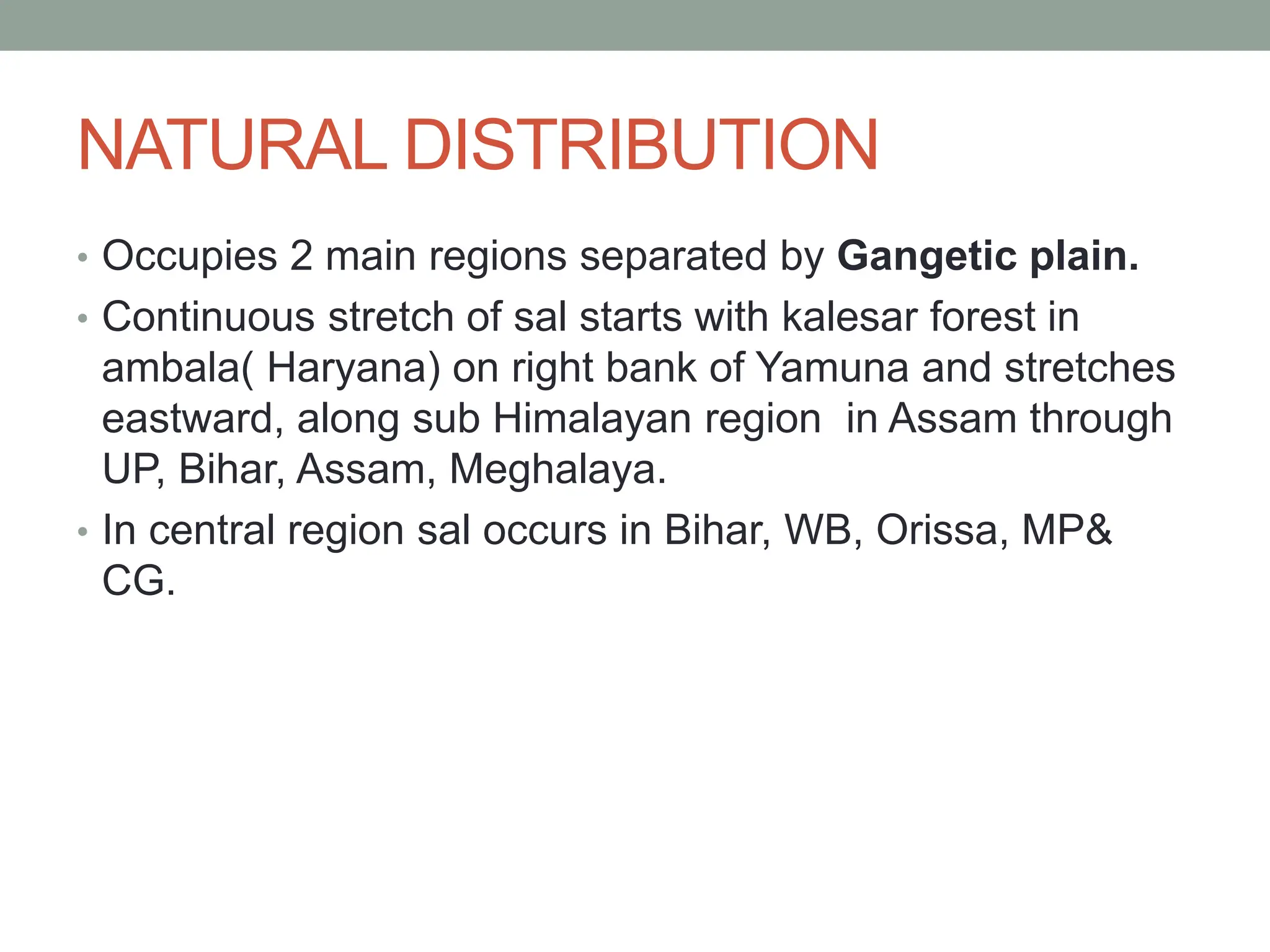 SILVICULTURE CHARACTERISTICS OF SAL.pptx
