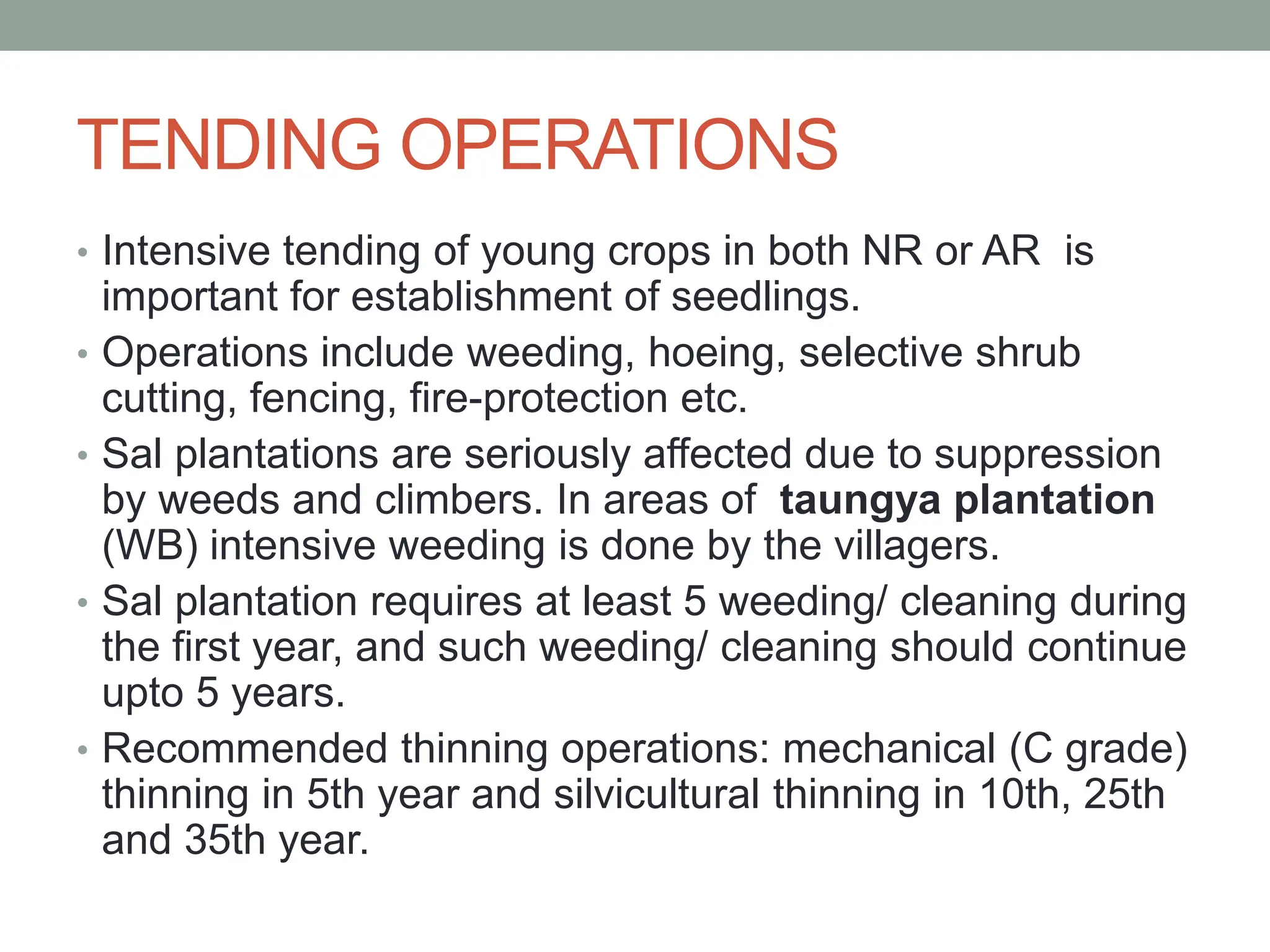 SILVICULTURE CHARACTERISTICS OF SHOREA ROBUSTA.pptx