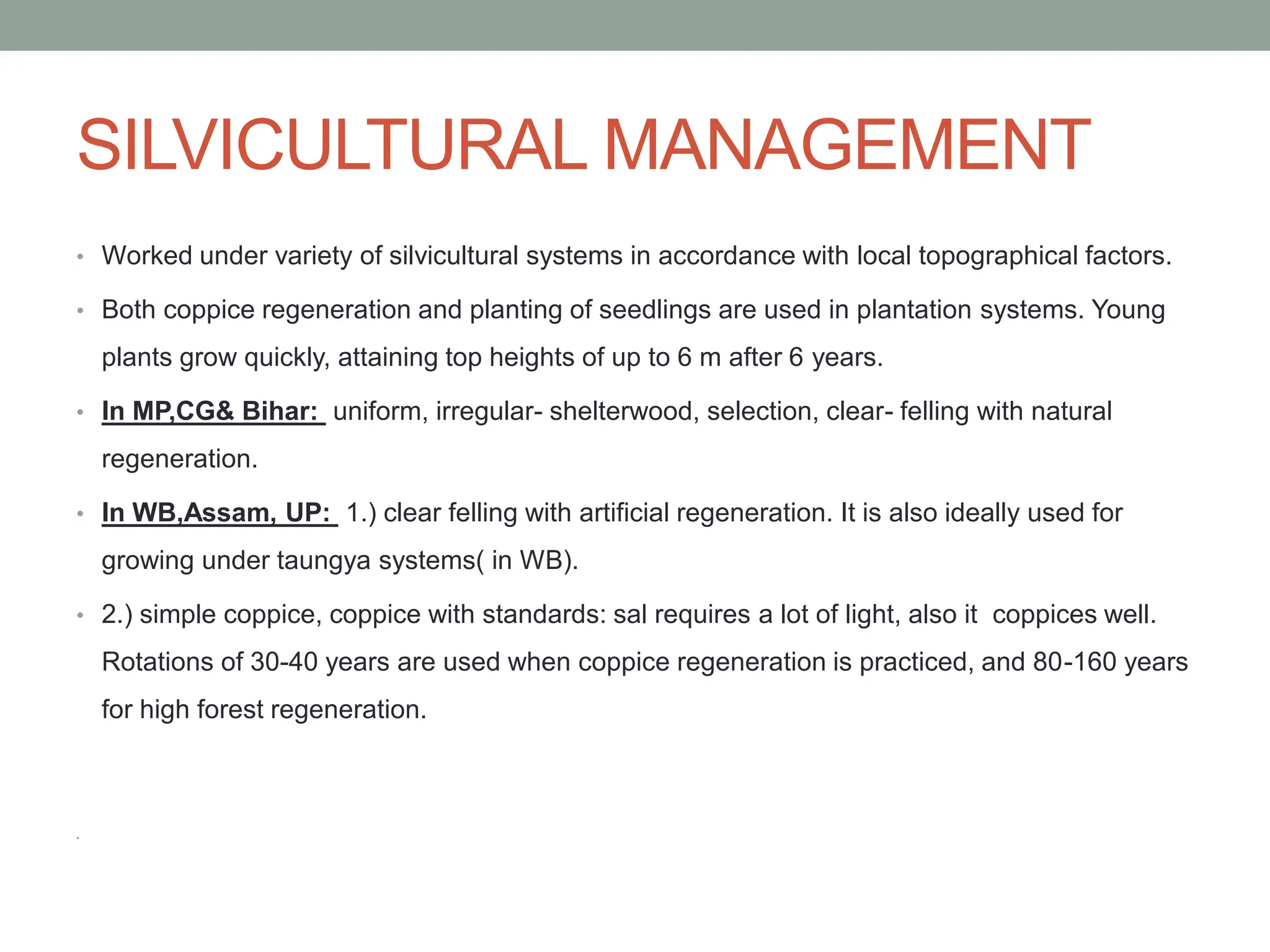 SILVICULTURE CHARACTERISTICS OF SHOREA ROBUSTA.pptx