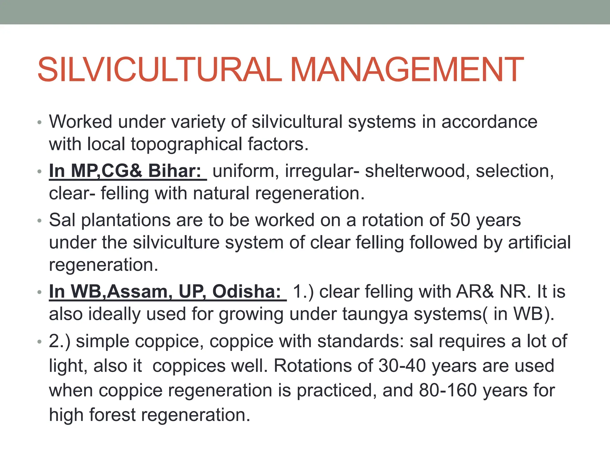 SILVICULTURE CHARACTERISTICS OF SHOREA ROBUSTA.pptx