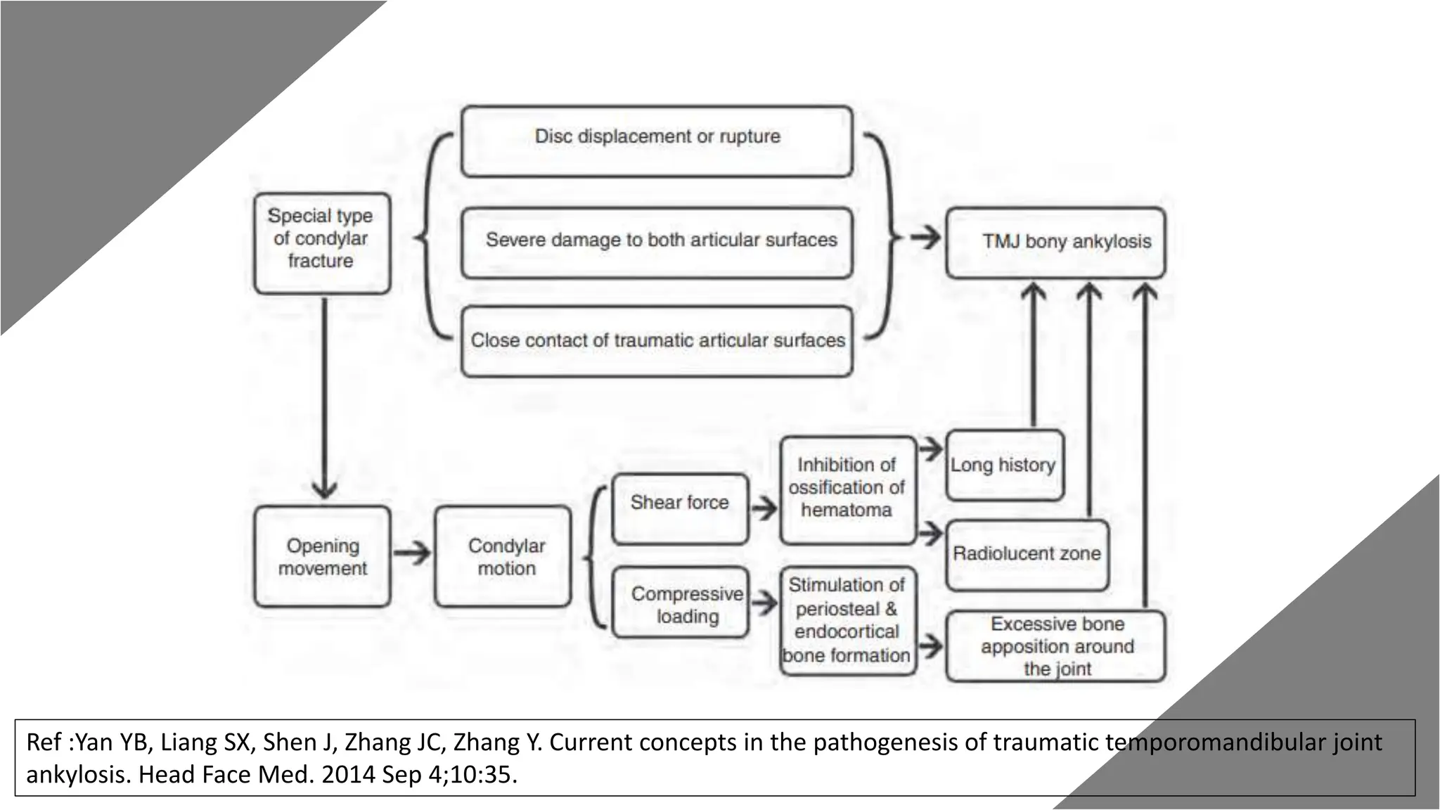 Tmj Ankylosis Of The Jaw And Its Clinical Significancies Ppt