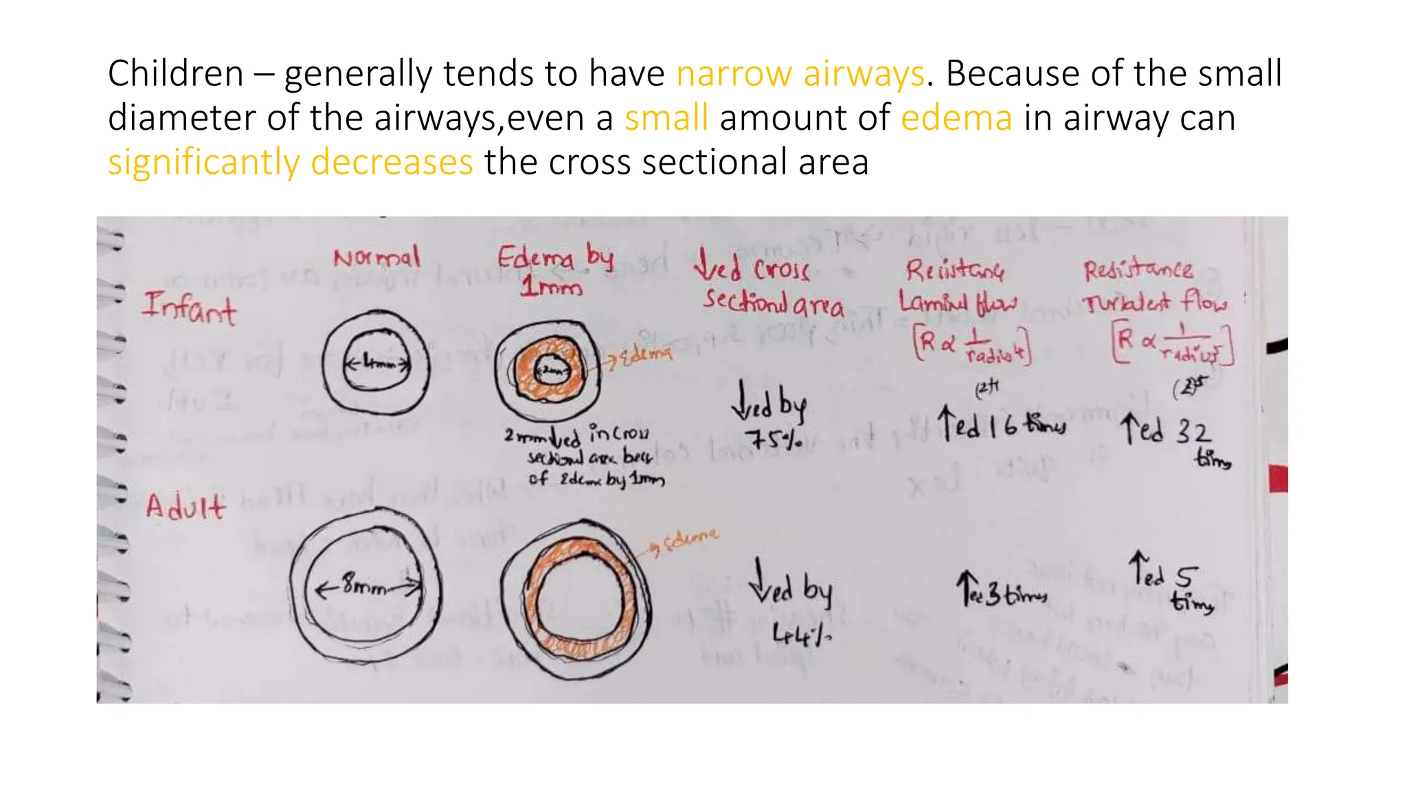 ANATOMY-PHYSIOLOGY AND IT'S IMPLICATIONS IN PEDIATRIC ANESTHESIA by Dr ...