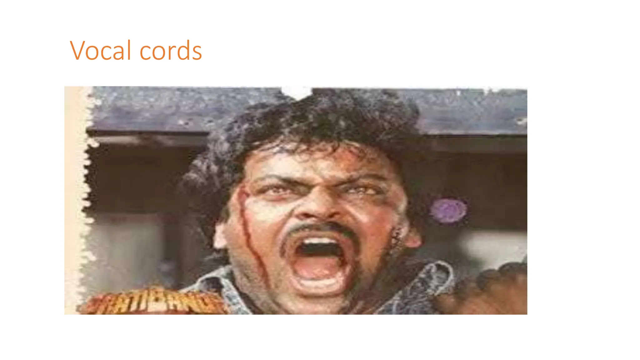 ANATOMY-PHYSIOLOGY AND IT'S IMPLICATIONS IN PEDIATRIC ANESTHESIA by Dr ...