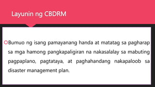 DISASTER MANAGEMENT RISK REDUCTION PRESENTATION | PPT