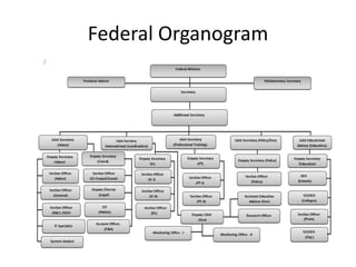 organogram of departments in education in pakistan | PPTX