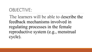 MENSTRUAL CYCLE 4 PHASES HELLO HIHI.pptx