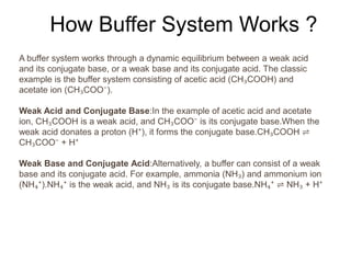 PH Buffer and Henderson Hasselbalchs equation | PPTX