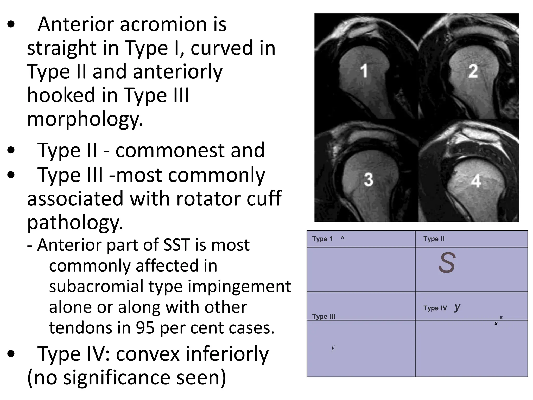 shoulder pathologies MRI: basic anatomy and MRI scans | PPTX