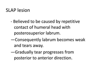 shoulder pathologies MRI: basic anatomy and MRI scans | PPTX