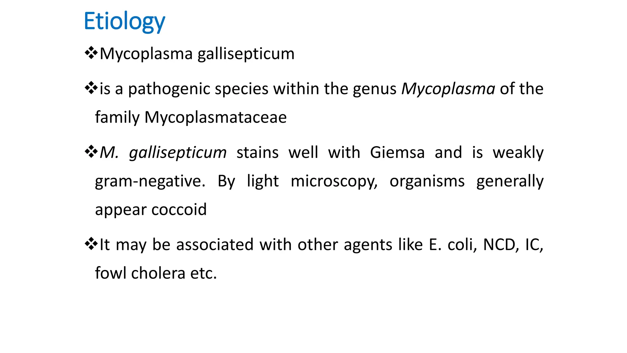 Presentation about the Avian mycoplasmoses | PPTX