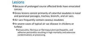 Presentation about the Avian mycoplasmoses | PPTX