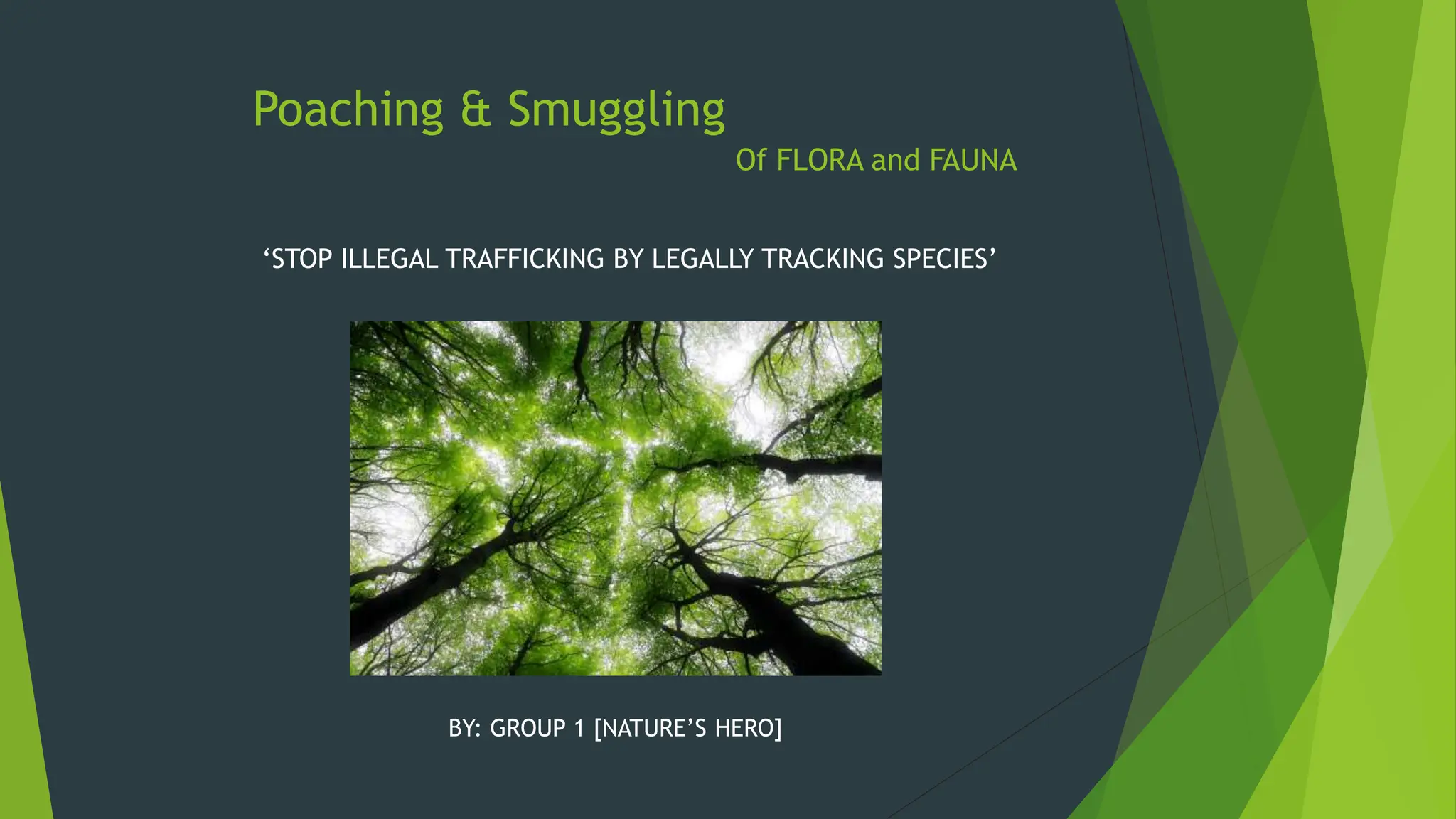 Illegal Poaching and Illegal Smuggling with its care | PPTX