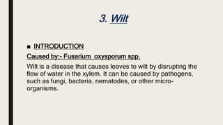 Presentation (1).pptx Disease of gram and it's | PPTX