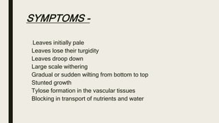 Presentation (1).pptx Disease of gram and it's | PPTX