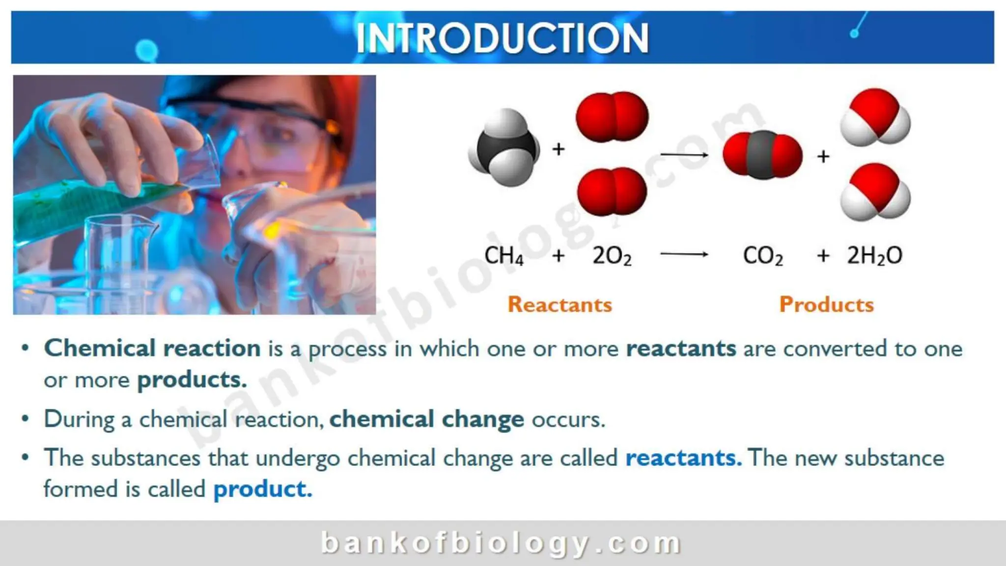 Presentation1class10chemistry1chemical.pptx