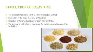 PPT ON STATE OF RAJASTHAN IN INDIA pptx | PPTX