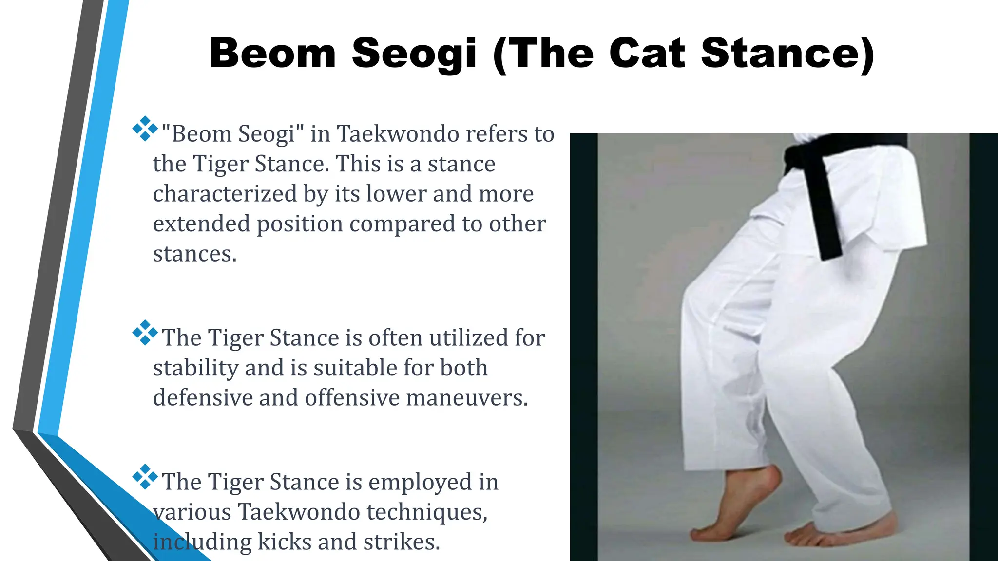 Basics of Korean Taekwondo in India explaining about kicks,punches ...