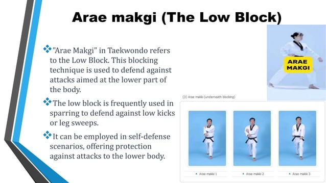 Basics of Korean Taekwondo in India explaining about kicks,punches | PPT