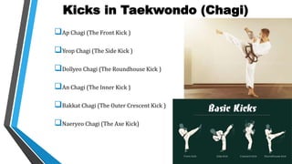 Basics of Korean Taekwondo in India explaining about kicks,punches ...