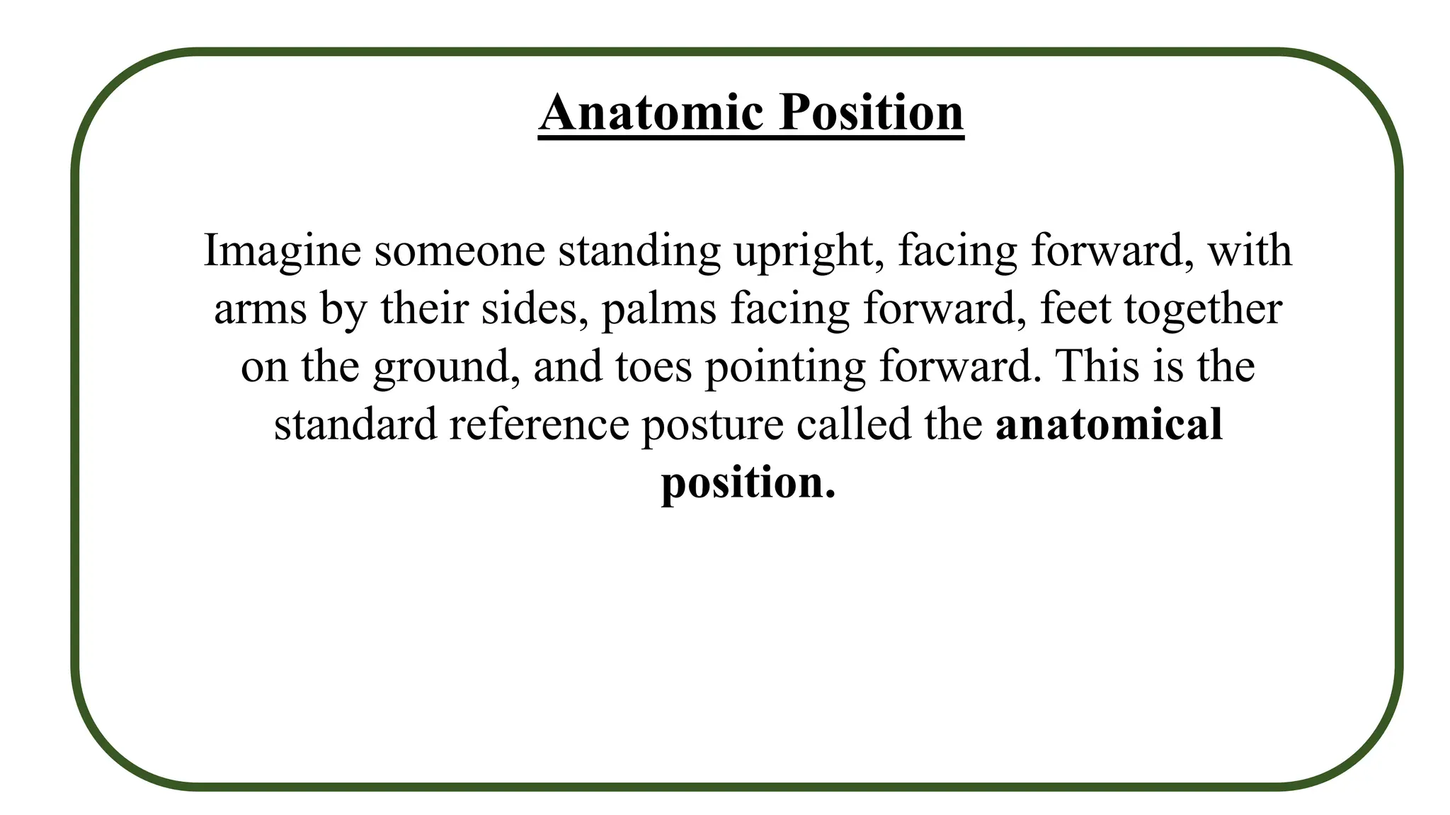 "Mastering Anatomy: Understanding Anatomic Terminology Simplified" | PPTX