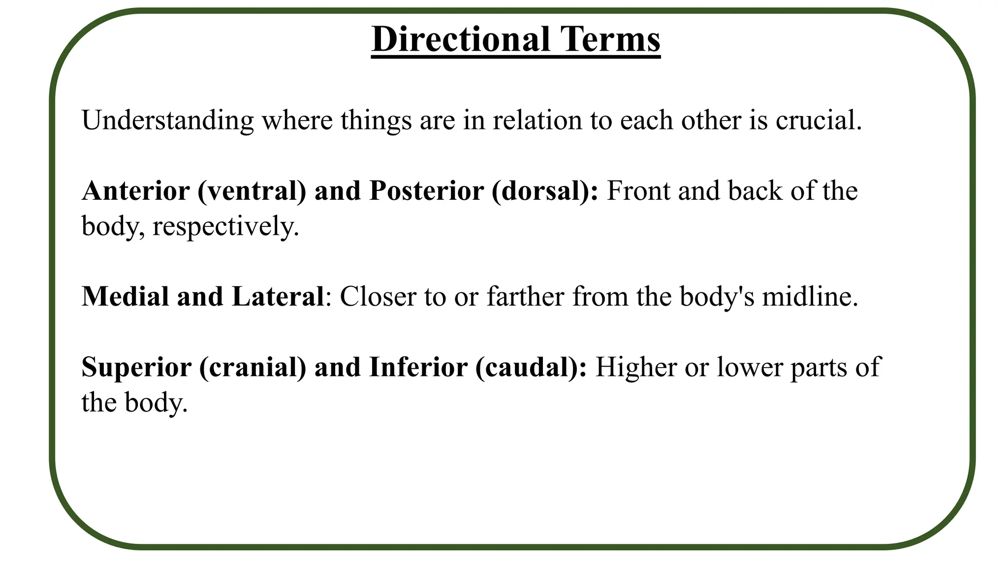"Mastering Anatomy: Understanding Anatomic Terminology Simplified" | PPTX