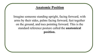 "Mastering Anatomy: Understanding Anatomic Terminology Simplified" | PPTX