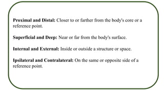"Mastering Anatomy: Understanding Anatomic Terminology Simplified" | PPT