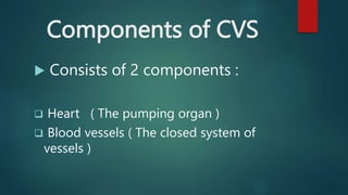 Cardiovascular System and its Components . General Anatomy Ch 6. (MBBS ...