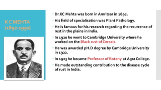 Milestones in Phytopathology with reference to India | PDF