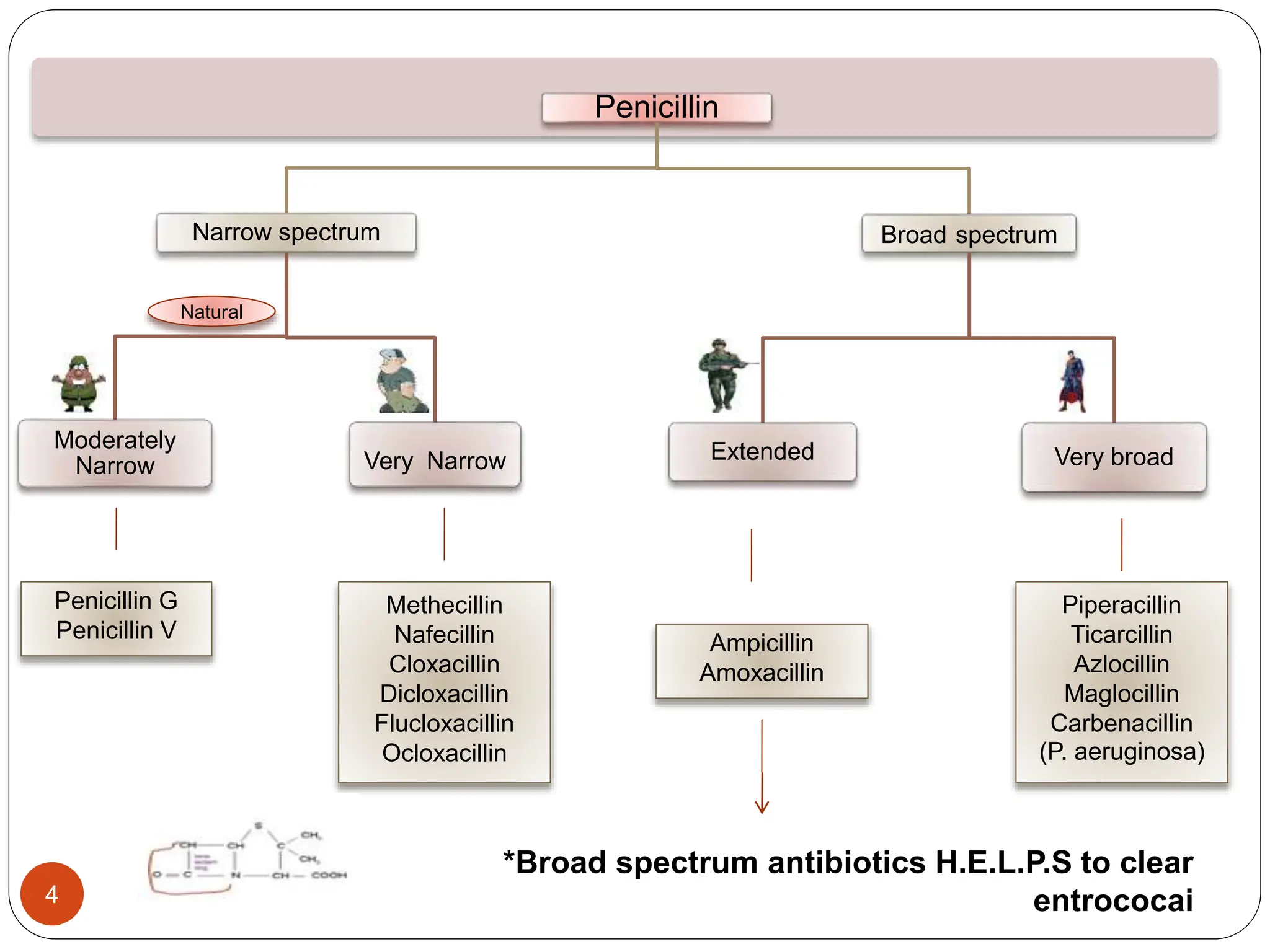 Medicinal chemistry, Beta Lactam antibiotics | PPTX
