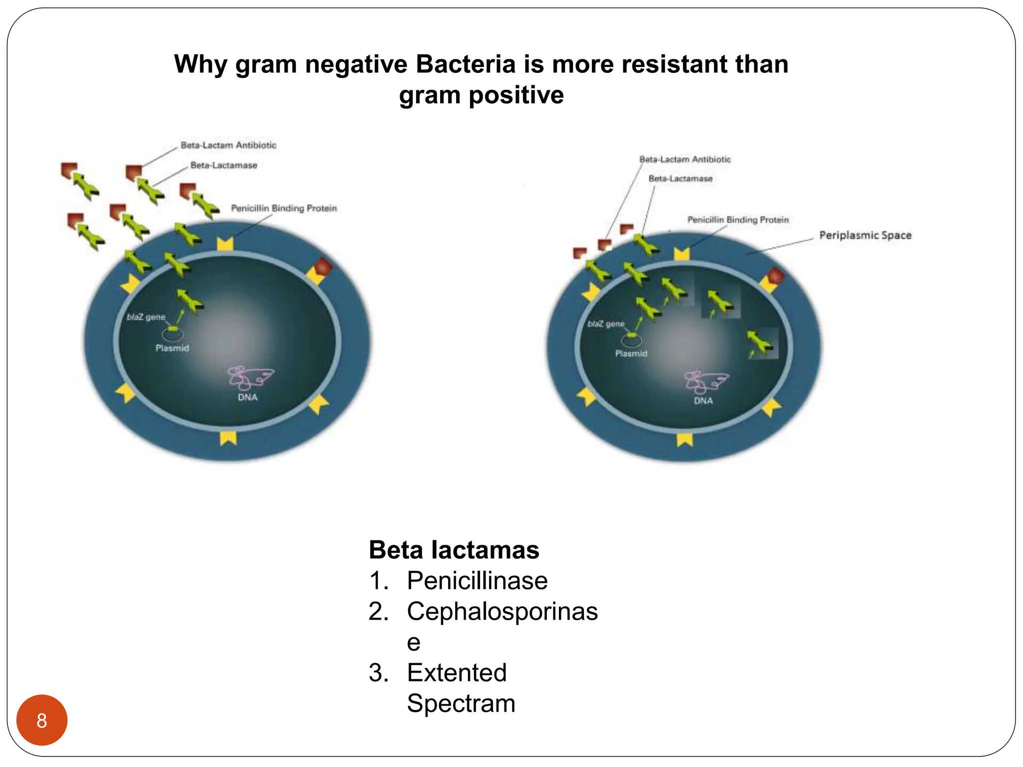 Medicinal chemistry, Beta Lactam antibiotics | PPTX