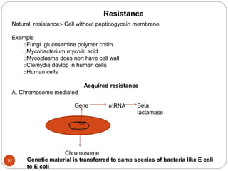 Medicinal chemistry, Beta Lactam antibiotics | PPTX