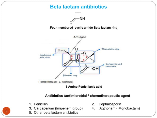 Medicinal chemistry, Beta Lactam antibiotics | PPTX | Chemistry | Science