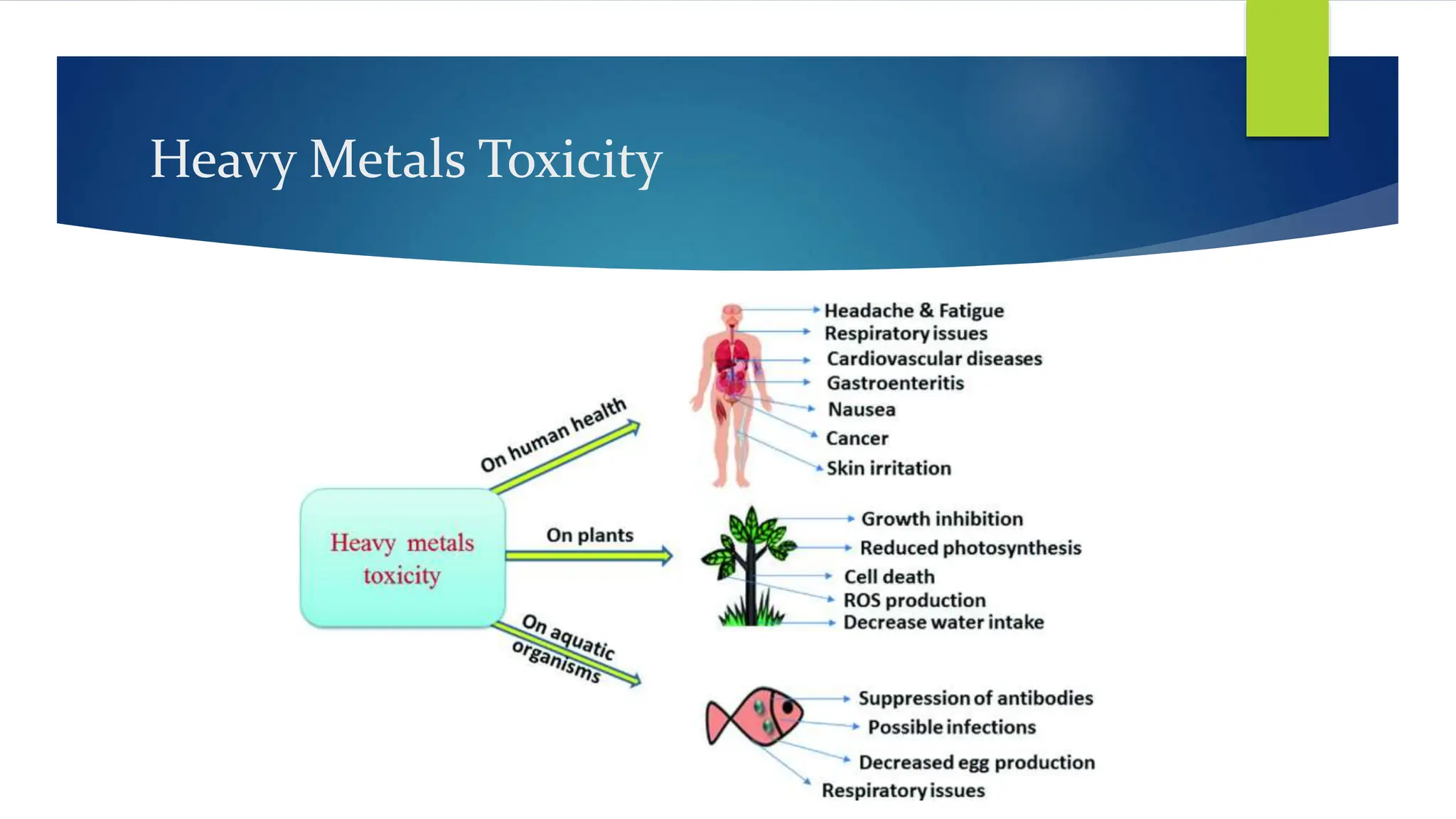 Effects of heavy metals and radiation pollution on biological system.pptx
