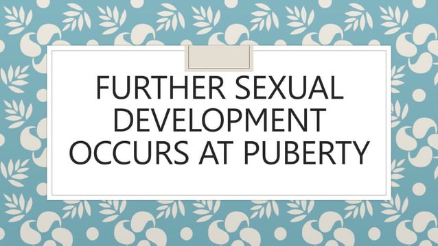 Presentation (1).pptx Further sexual development occurs puberty | PPT