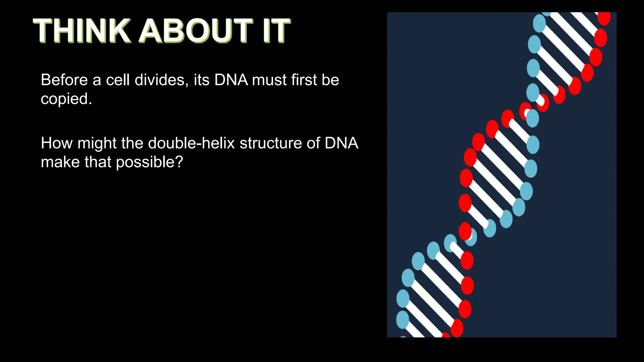 Presentation1 it about the biology explaining marvel of dna replication ...