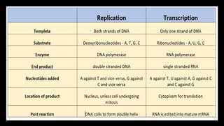 Presentation1 it about the biology explaining marvel of dna replication ...