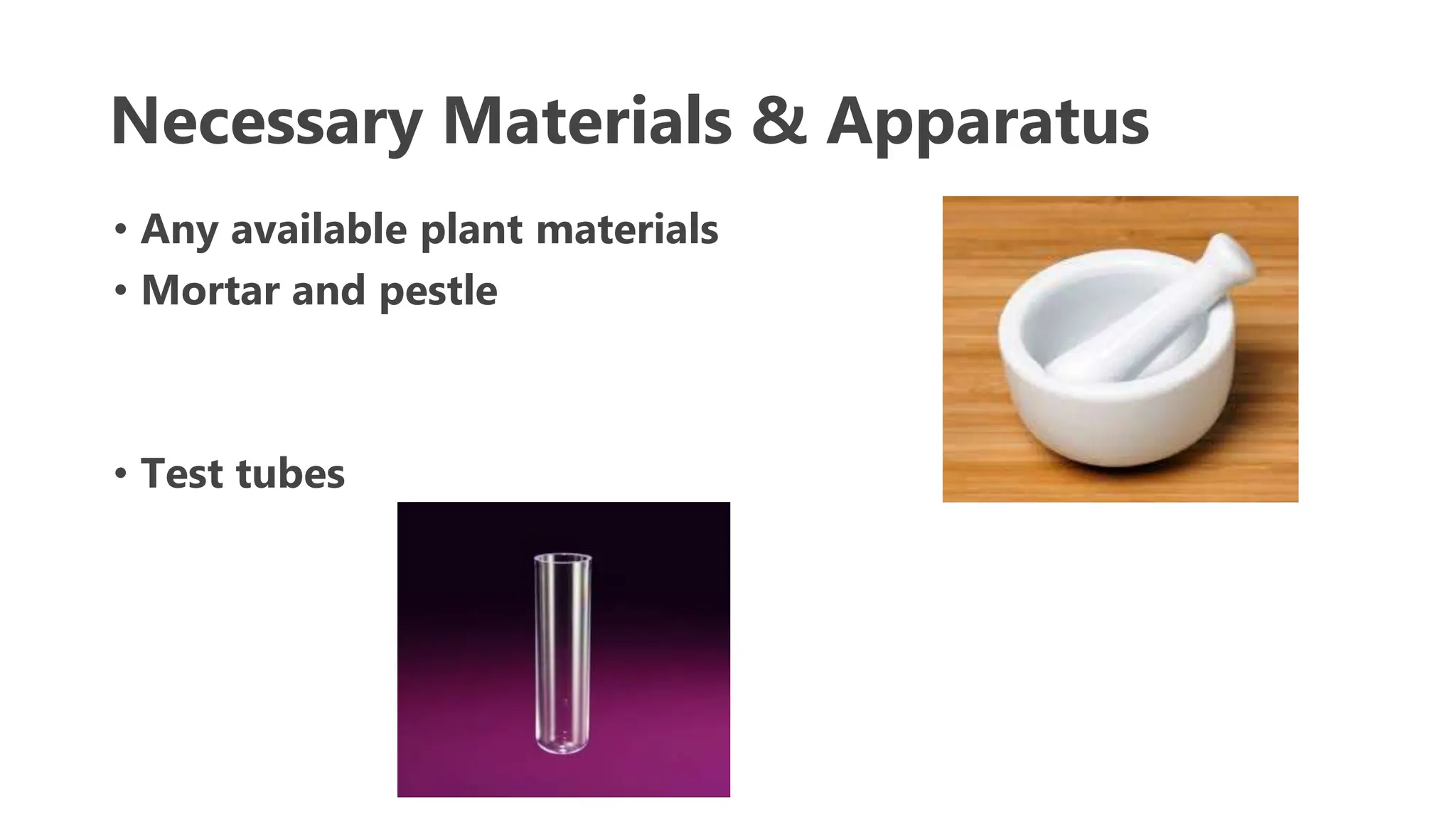 DNA extraction from Banana, green pea seeds and spinach.pptx