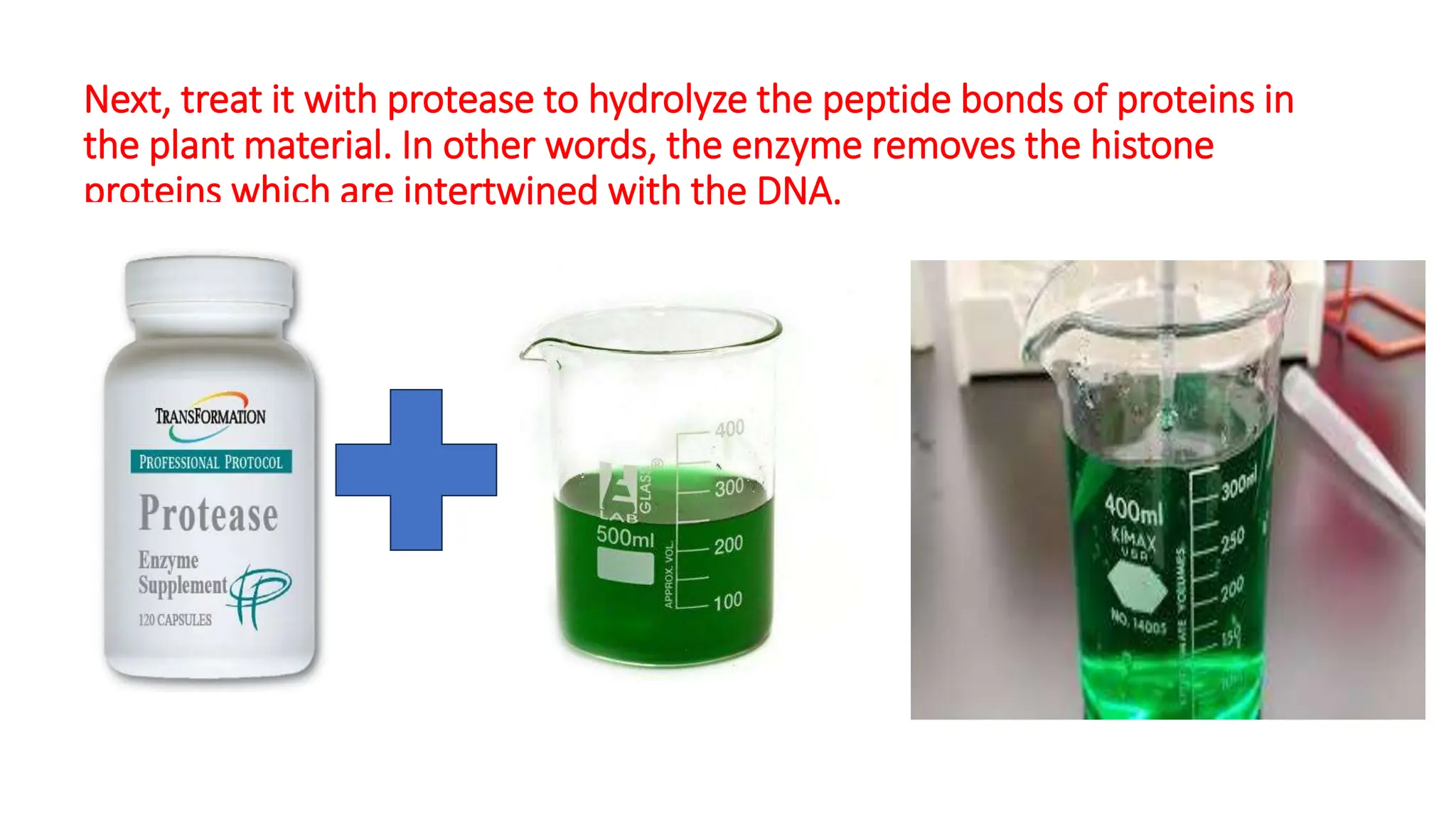 DNA extraction from Banana, green pea seeds and spinach.pptx
