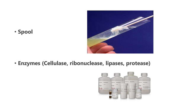 DNA extraction from Banana, green pea seeds and spinach.pptx