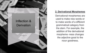 Word Formation in English with fun images | PPTX