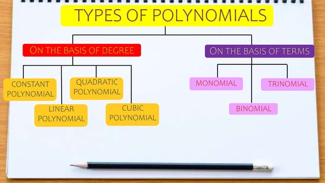 Class 10, Maths- Ch-2, Polynomials ppt./ | PPTX | Physics | Science