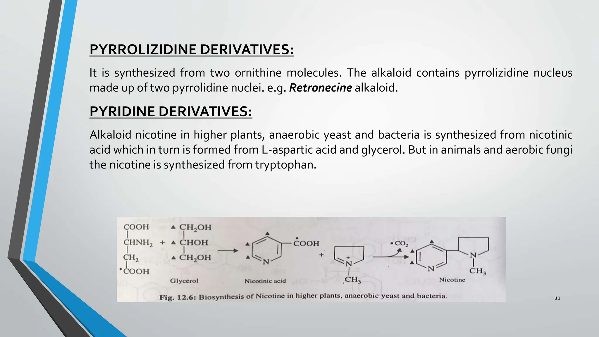 Alkaloids: types, biosynthesis and functions | PPTX