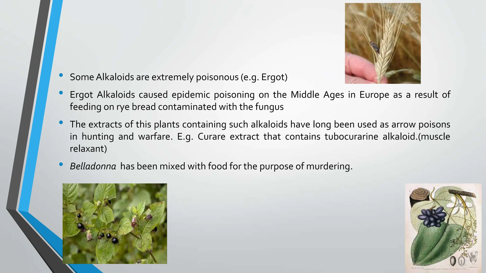Alkaloids: types, biosynthesis and functions | PPTX