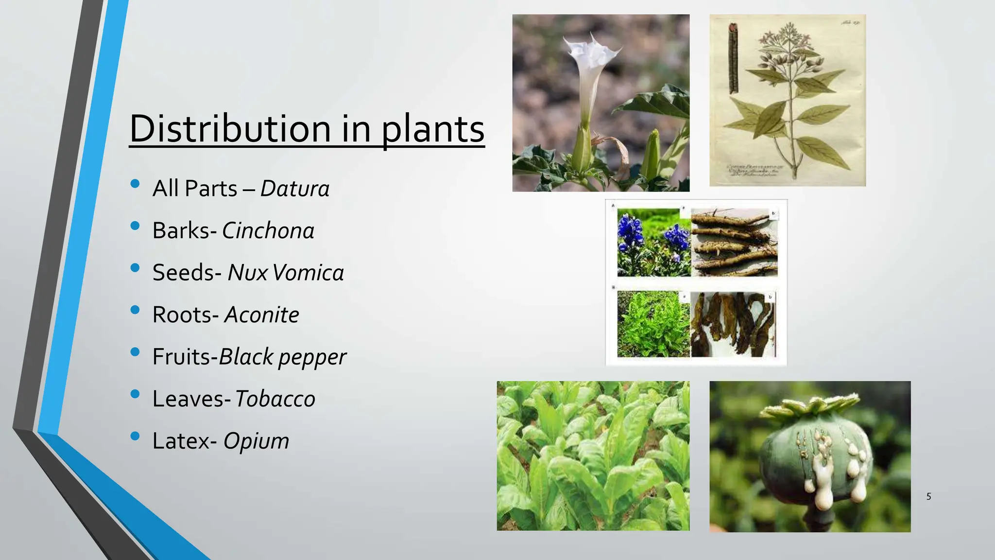 Alkaloids: types, biosynthesis and functions | PPTX
