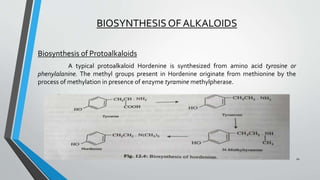 Alkaloids: types, biosynthesis and functions | PPTX