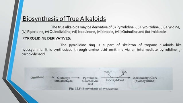 Alkaloids: types, biosynthesis and functions | PPTX | Chemistry | Science